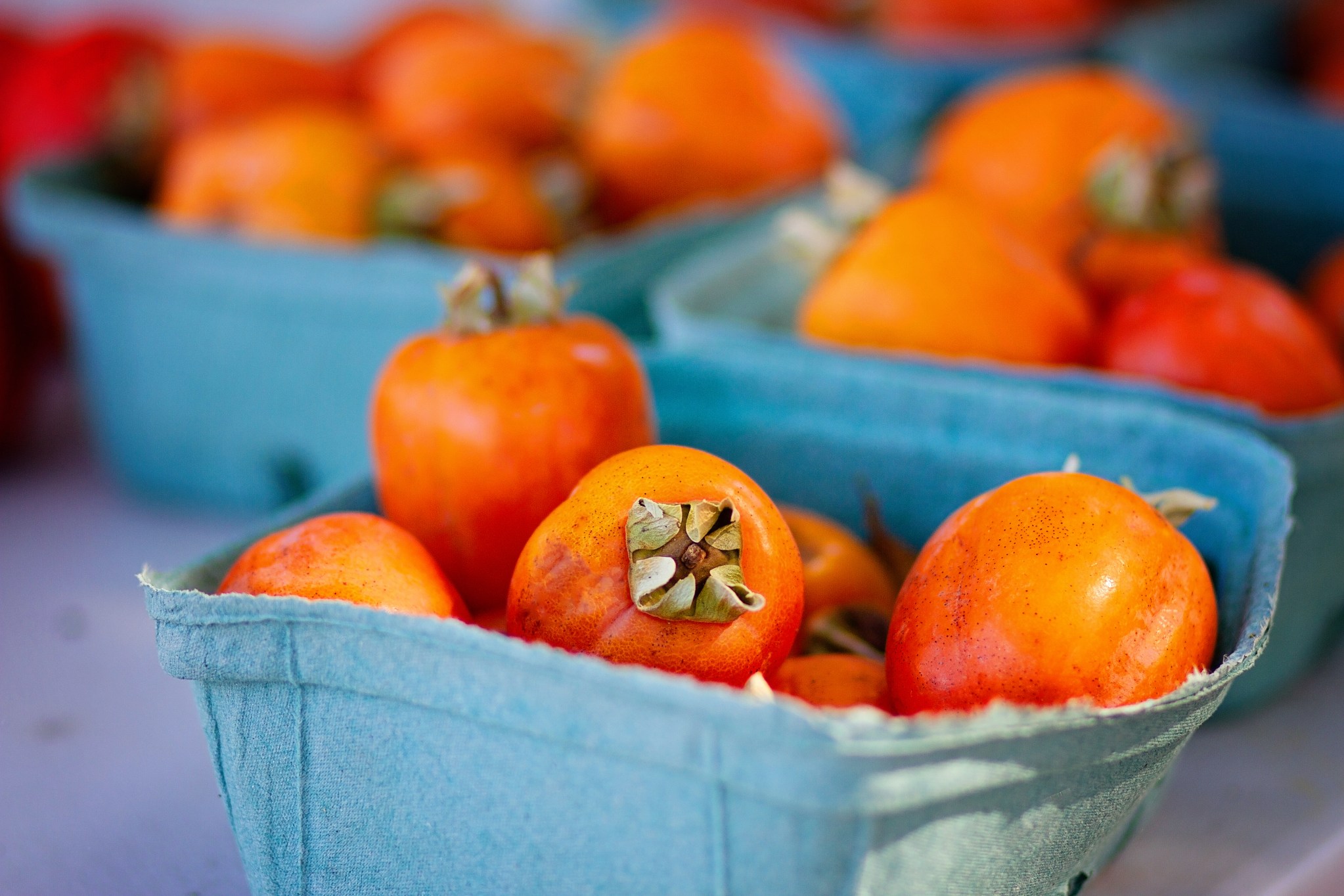 Perfect Persimmons – a You-Pick Orchard by JNB Farms LLC