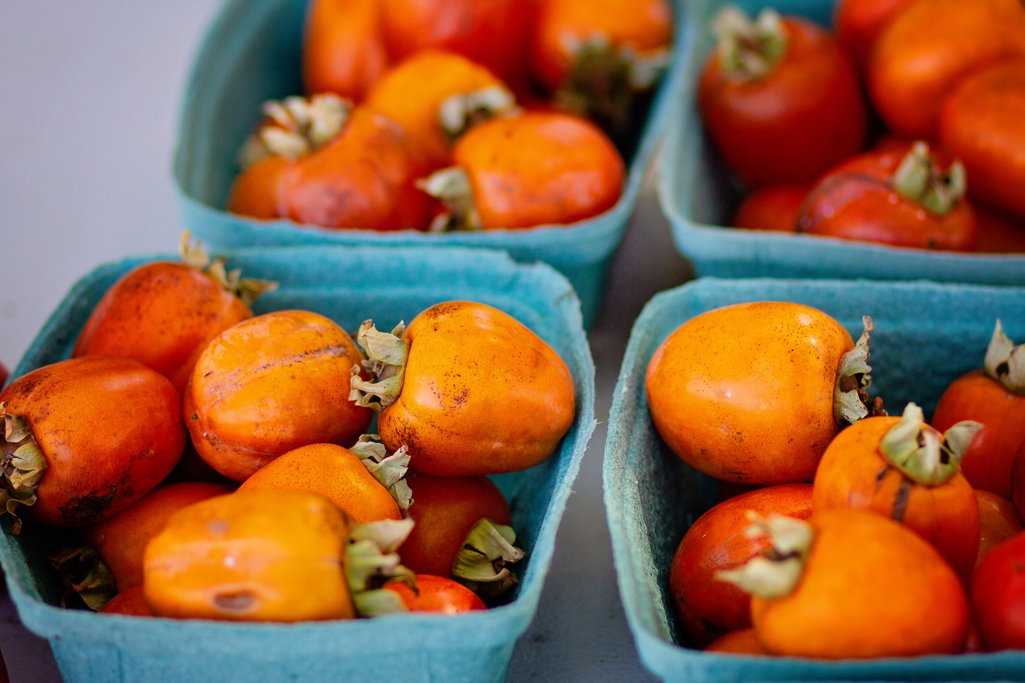 Plan Your Visit – Perfect Persimmons